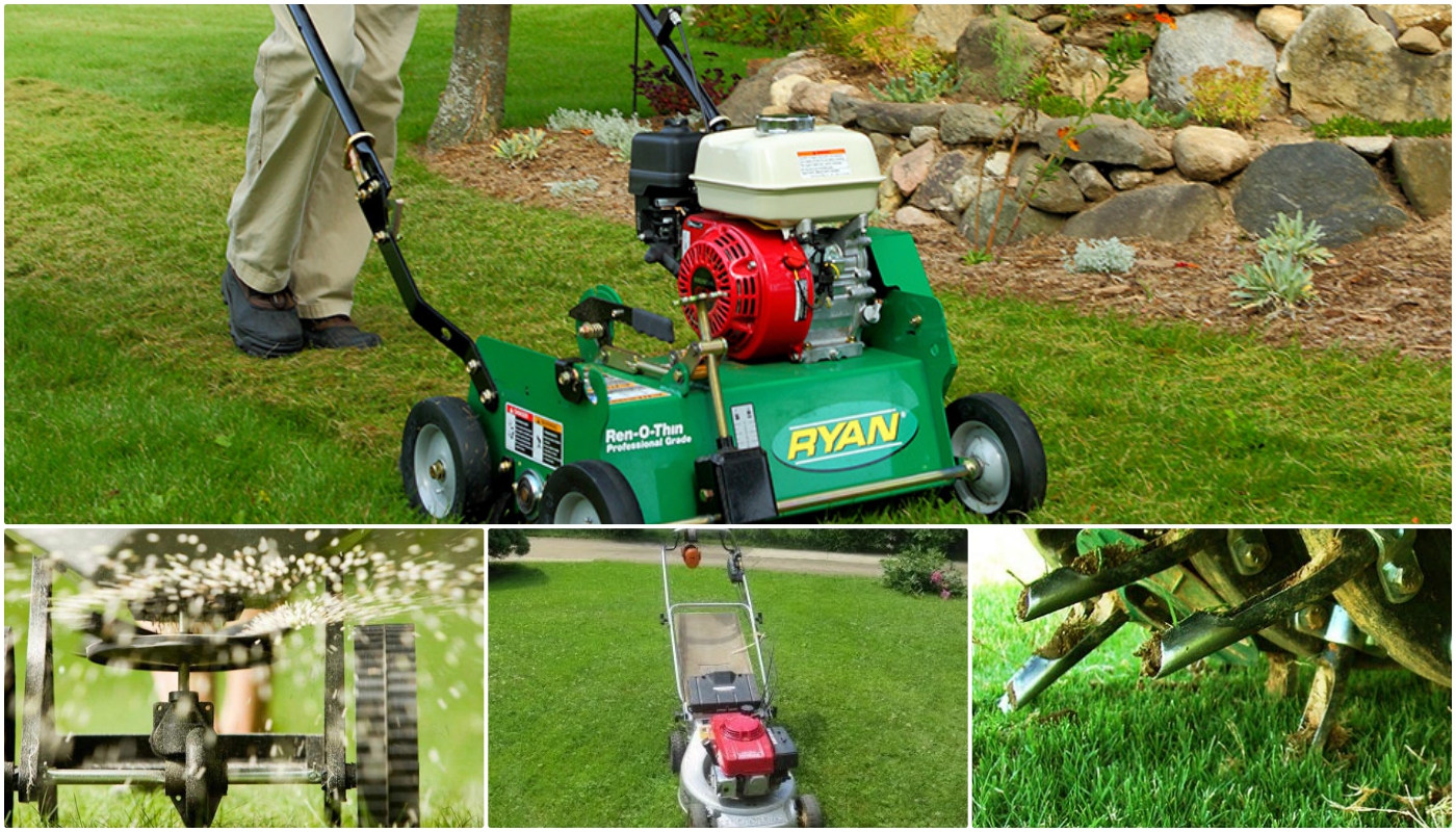 Turf/Grass Care – HDVS Landscaping