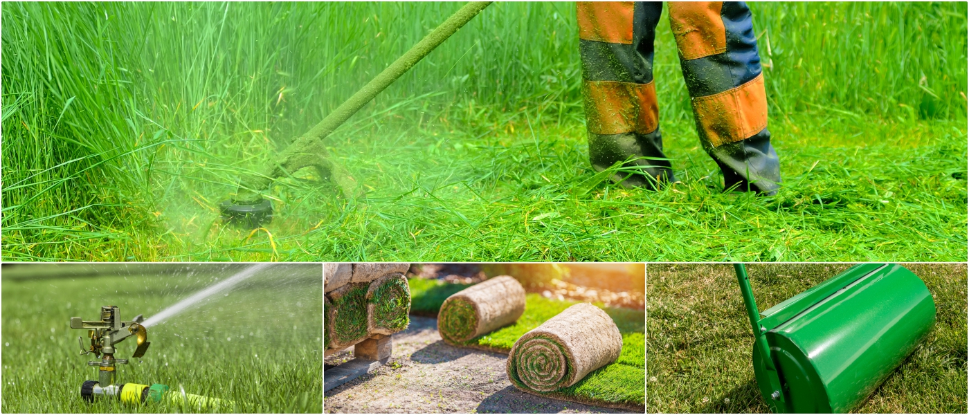 Turf/Grass Care – HDVS Landscaping